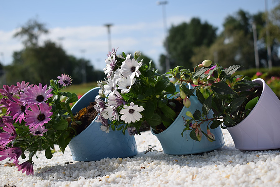 Klara Gardening - Klara Trio • Unique plant pots
